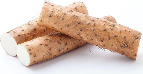 L'Igname selvatico: per vivere meglio la menopausa e alleviare i ...